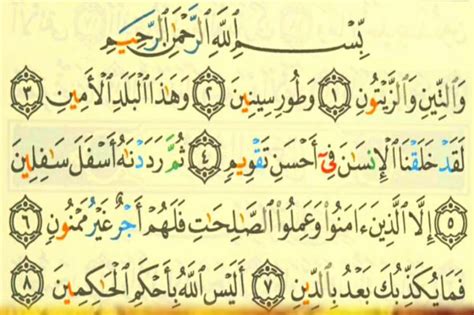 Surat At Tin Lengkap Arab Latin Terjemahan Dan Keutamaan