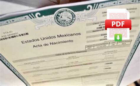 Como Descargar E Imprimir Tu Acta De Nacimiento De Internet