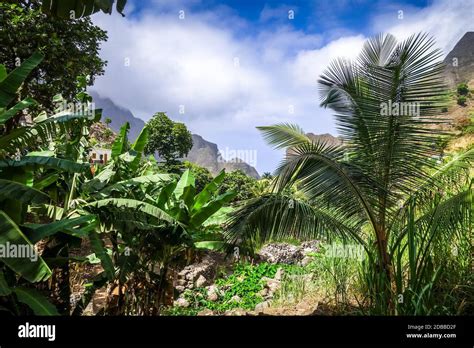 Paul Valley Landscape In Santo Antao Island Cape Verde Africa Stock