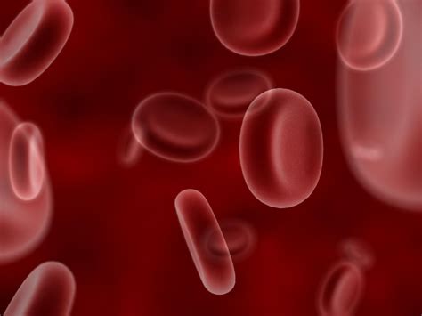 Biology Wallpapers Wallpapersafari