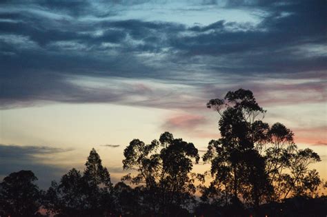 Fotos Gratis Rbol Naturaleza Horizonte Monta A Nube Cielo