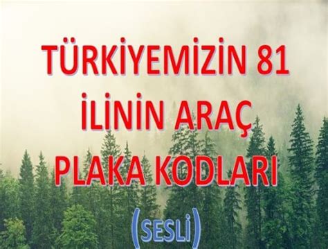 Araçların İl Plaka Numaraları Plaka Kodları Onlarnediyo