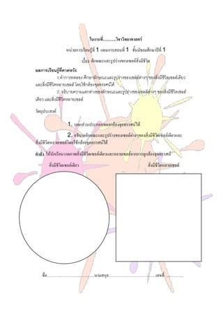 Microscope PDF