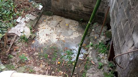 Pedreira Moradores do Jardim São Pedro convivem esgoto a céu