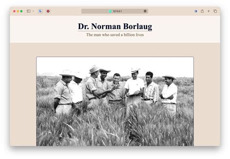 GitHub Nevin06 Tribute Page Freecodecamp Rocks This Is A Solution To