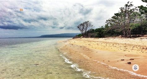 Pulau Tabuhan Hidden Gem Banyuwangi Di Tengah Selat Bali
