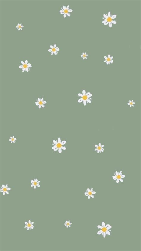 Обои in 2022 Simple iphone wallpaper Daisy wallpaper Green