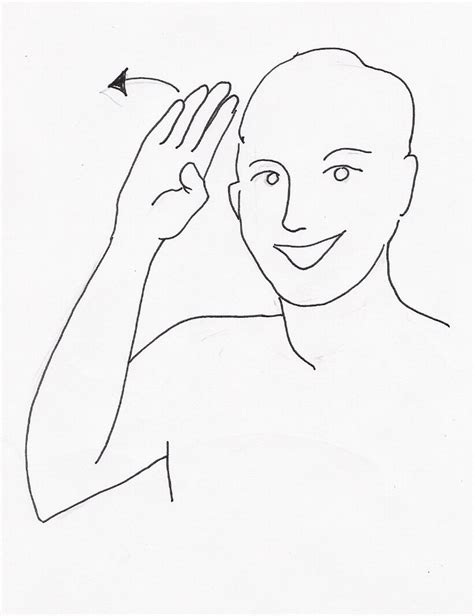 Basic Asl Signs Flashcards Memorang