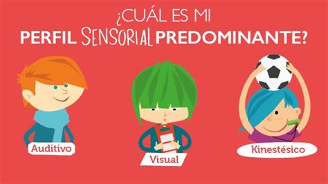 Gu A De Materiales Seg N El Perfil Sensorial Hop Toys