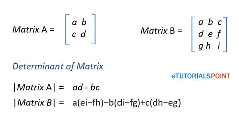 determinant of a matrix in python