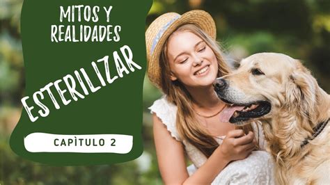 QUE ES ESTERILIZAR O CASTRAR A UN PERRO Verdad Mito O Realidad Para