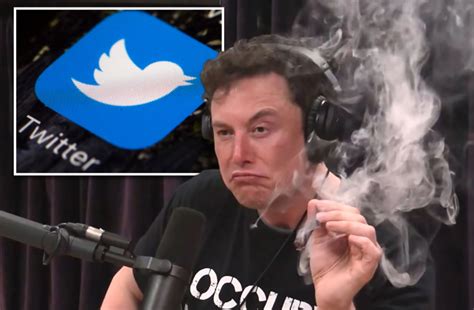 Cine sunt cei mai mari pierzători din haosul creat de Elon Musk cu