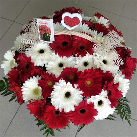 Os Melhores Floristas Do Odivelas Os Melhores Floristas Pt