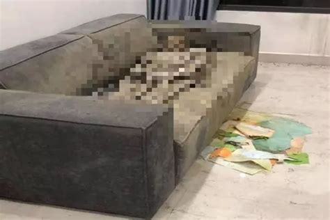 Ph T Hi N Thi Th C G I Tr N Sofa Trong C N H Chung C H N I