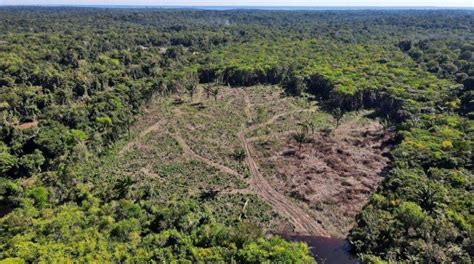 Desmatamento na Amazônia cai 68 em abril primeira grande queda no