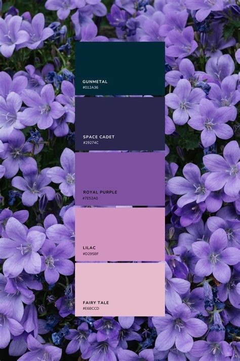 Pin By Sarli Murat On Duvar Renkleri 2 In 2024 Purple Color