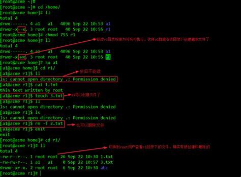 linux文件的普通权限详解 linux文件权限小数点代表普通文件 csdn博客