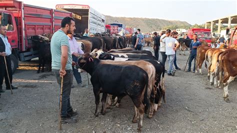 2 BÖLÜM PAZARA DEVAM KIRIKKALE HAYVAN PAZARI YouTube