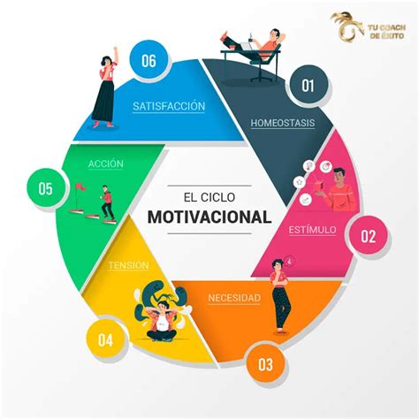 El proceso motivacional en psicología ciclo etapas y consejos
