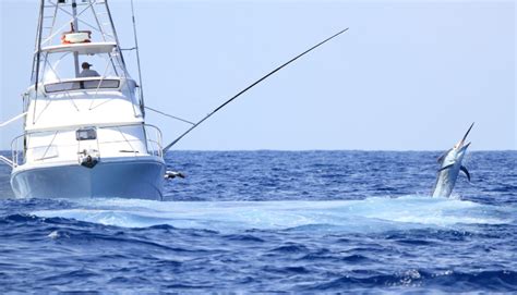 Aventure en haute mer la pêche au gros à lÎle Maurice Blog La