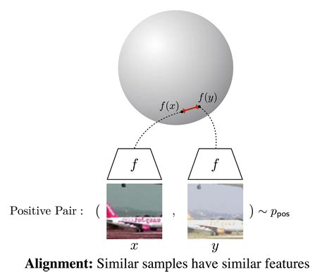 understanding contrastive representation learning through alignment and uniformity on the