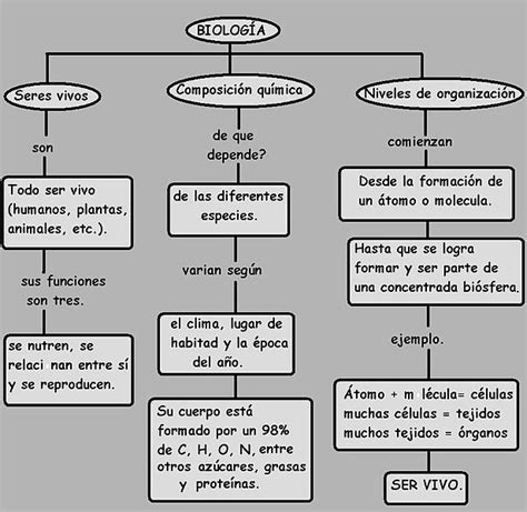 Mapa Mental Ciclos Biogeoquimicos MAPA META