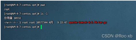 linux安装tomcat详细教程 linux中tomcat安装 csdn博客
