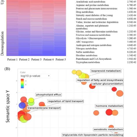 Connectivity Map CMap Analysis Based On Differential Expressions Of