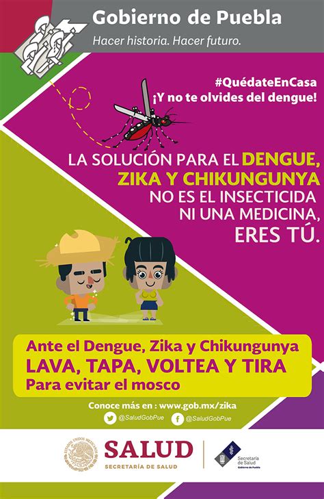 La solución para el zika dengue y chikungunya eres tú