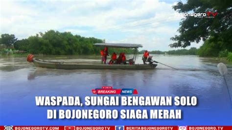 Waspada Sungai Bengawan Solo Di Bojonegoro Siaga Merah YouTube