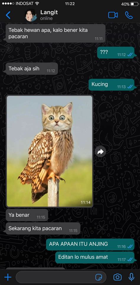 유나아¹² on Twitter RT ruwoopyi hajeongwoo one tweet au Langit