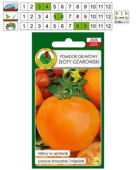 Pomidor Gruntowy Złoty Ożarowski Nasiona Bez Gmo 0 5G PNOS Sklep