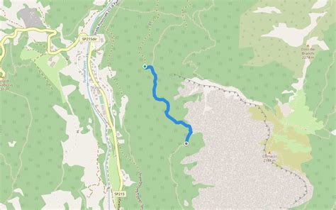 Path Cornon Hiking Trail Stava Trentino Alto Adige Pacer