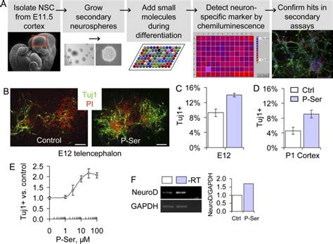 A Phenotypic Small Molecule Screen Identifies An Orphan Ligand Receptor