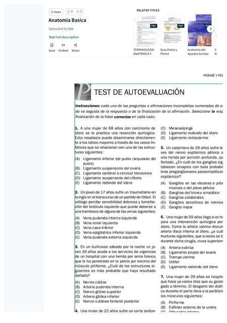Anatom A B Sica Gleen Moreno Udocz