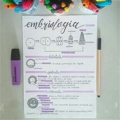 Mapas Mentais Sobre EMBRIOLOGIA Study Maps