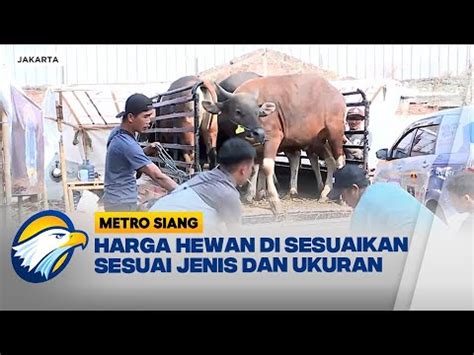 Jelang Idul Adha Penjual Hewan Kurban Bermunculan YouTube