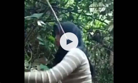 Pacitan Viral 35 Detik Link Video Dihutan Jadi Buruan Warganet Menit