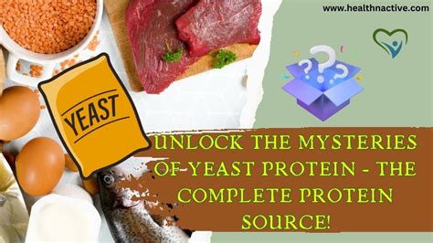 Unlock The Mysteries Of Yeast Protein The Complete Protein Source