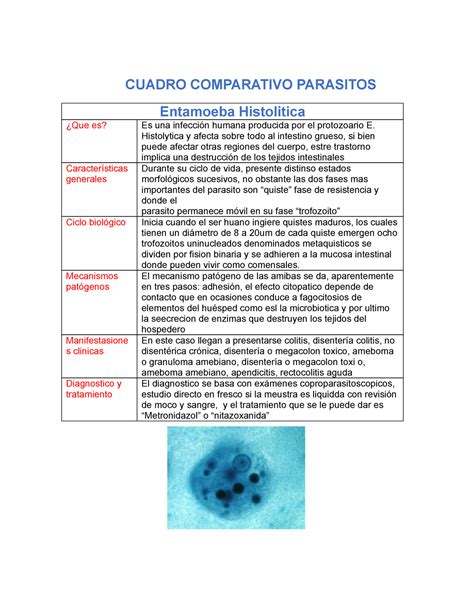 Cuadro Comparativo De Parasitos Microbiologia Clinica Cuadro Porn Sex