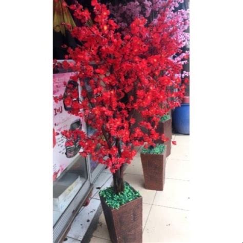 Jual Pohon Meihua Sakura Imlek 1 5m Rimbun Hiasan Cina Vas Bunga 1 5