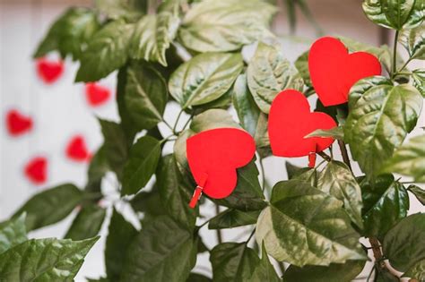 Strona 3 Rozmnazanie Roslin Zdjęcia darmowe pobieranie na Freepik