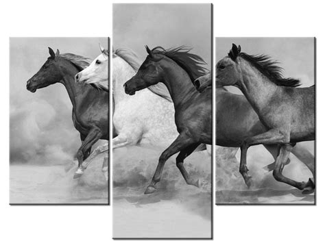 Obraz Stado W Burzy Piaskowej 3 Elementy 90x70 Cm Oobrazy Sklep