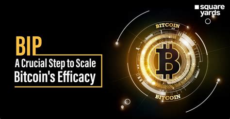What Is The Role Of BIPs In The Bitcoin Ecosystem