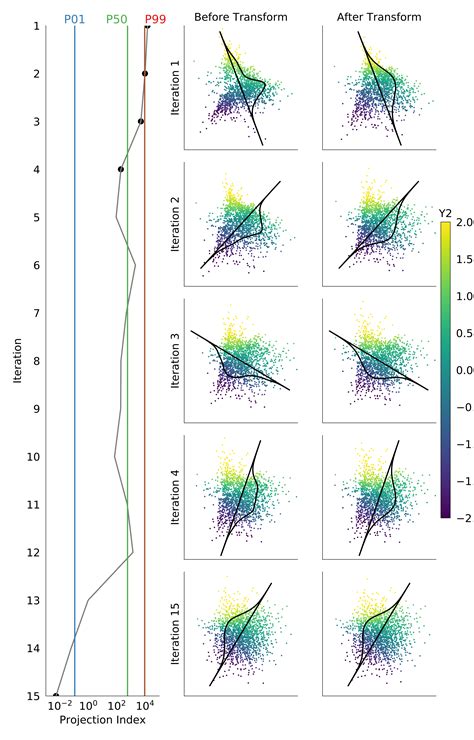 projection pursuit multivariate transform