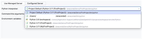 Manage Jupyter Notebook Servers Dataspell Documentation