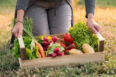 Estos Son Los Cultivos M S F Ciles Para Empezar La Huerta En Casa Bioguia