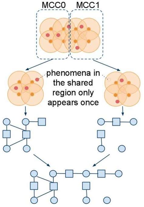 2 level hierarchy scheme download scientific diagram