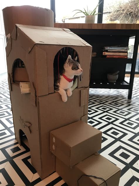 Diy Cardboard Cat House Artofit