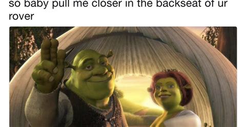 Of The Best Shrek Memes The Internet Made Popular Inspirationfeed